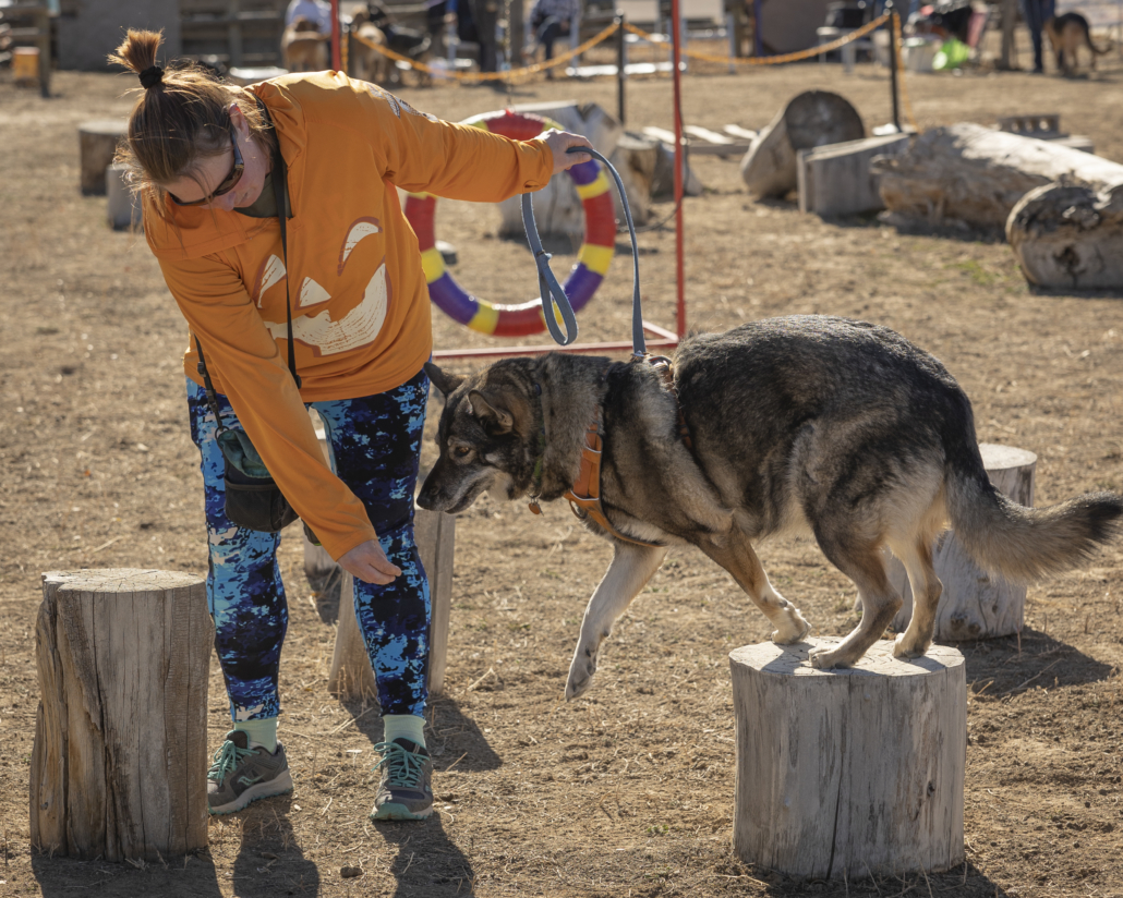 K9 Fitness Works - K9 Fitness Works