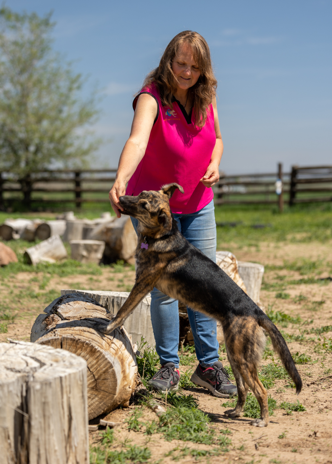 The Number 1 Exercise All Dogs Should Do – K9 Fitness Works